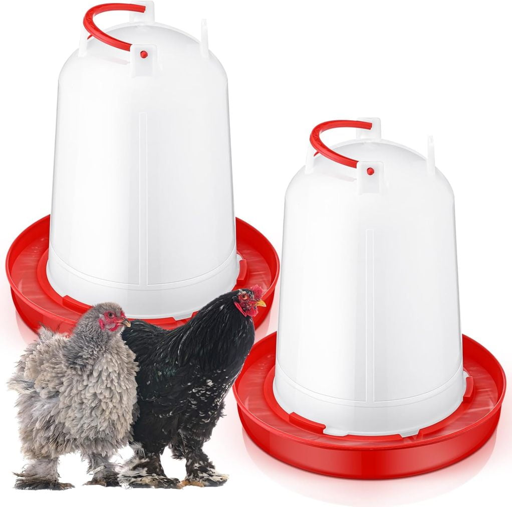 QATZ 2 Pcs 2 Gallon Plastic Poultry Drinker Poultry Waterer Automatic ...
