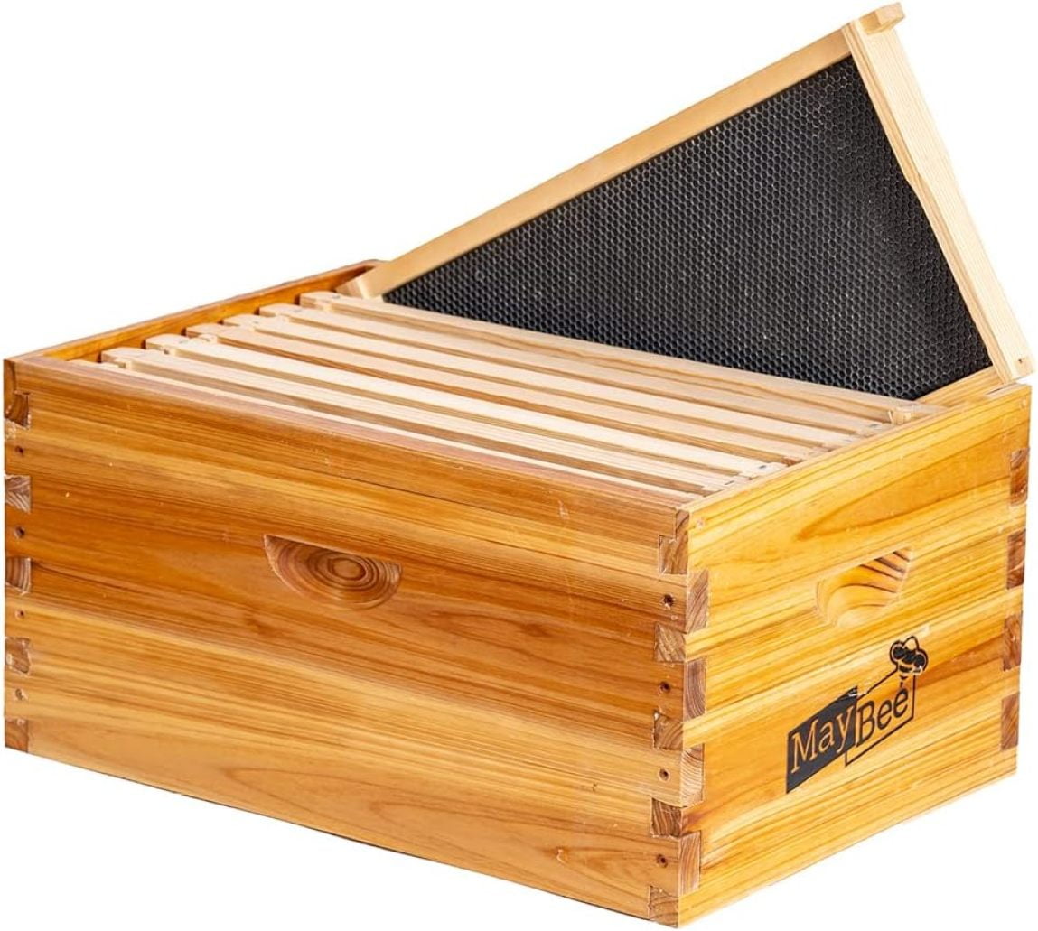 QATZ 8-Frame Beehive Box Langstroth Deep Brood Box Dipped in 100% ...