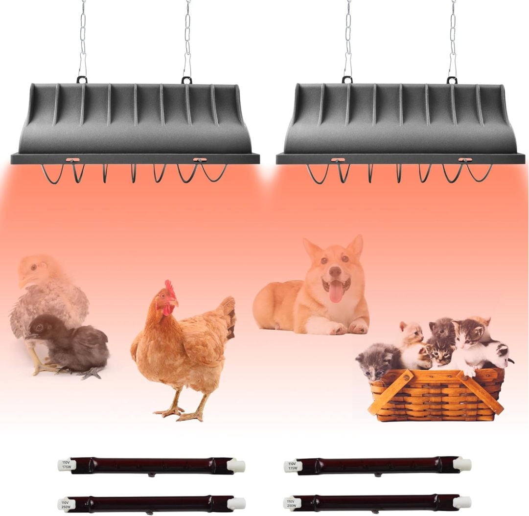 QATZ Chicken Coop Heater for Chicks,Brooder Heater with 2pcs Heat Lamp ...