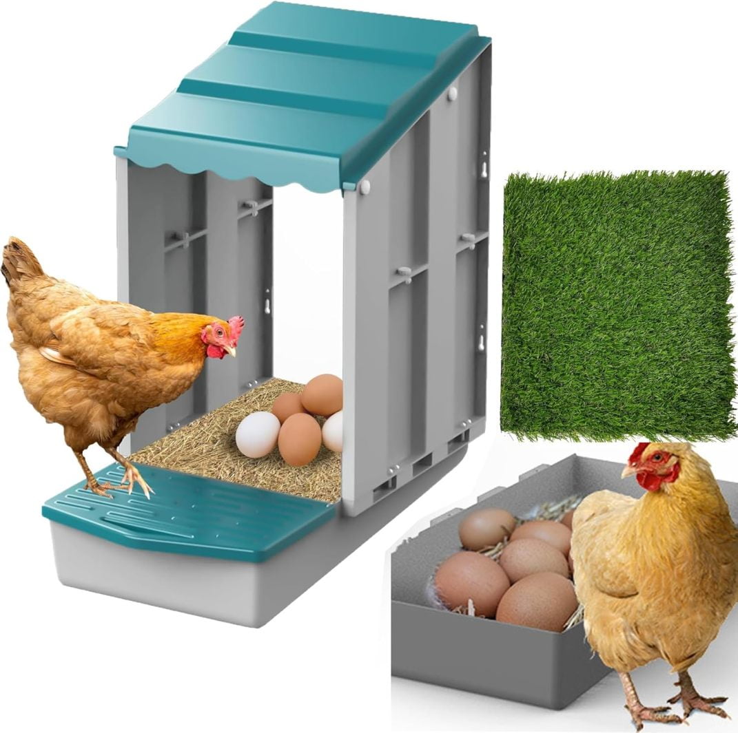 QATZ Chicken Nesting Boxes, 1 Hole Laying Boxes,1 Nest Mat, Plastic Roll Away Chicken Nest Box ...