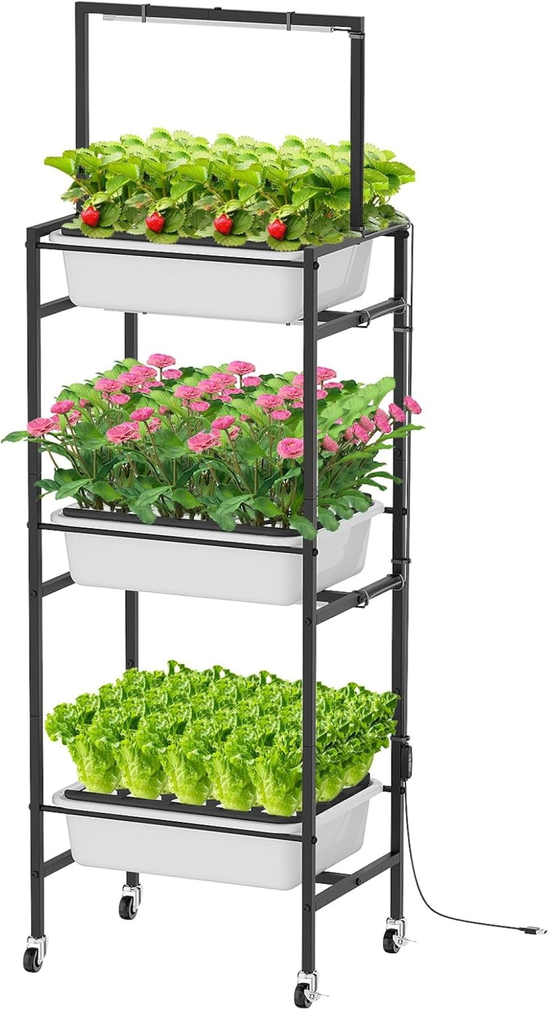 QATZ Hydroponics Growing System Kit, 60 Pods Herb Garden Germination ...