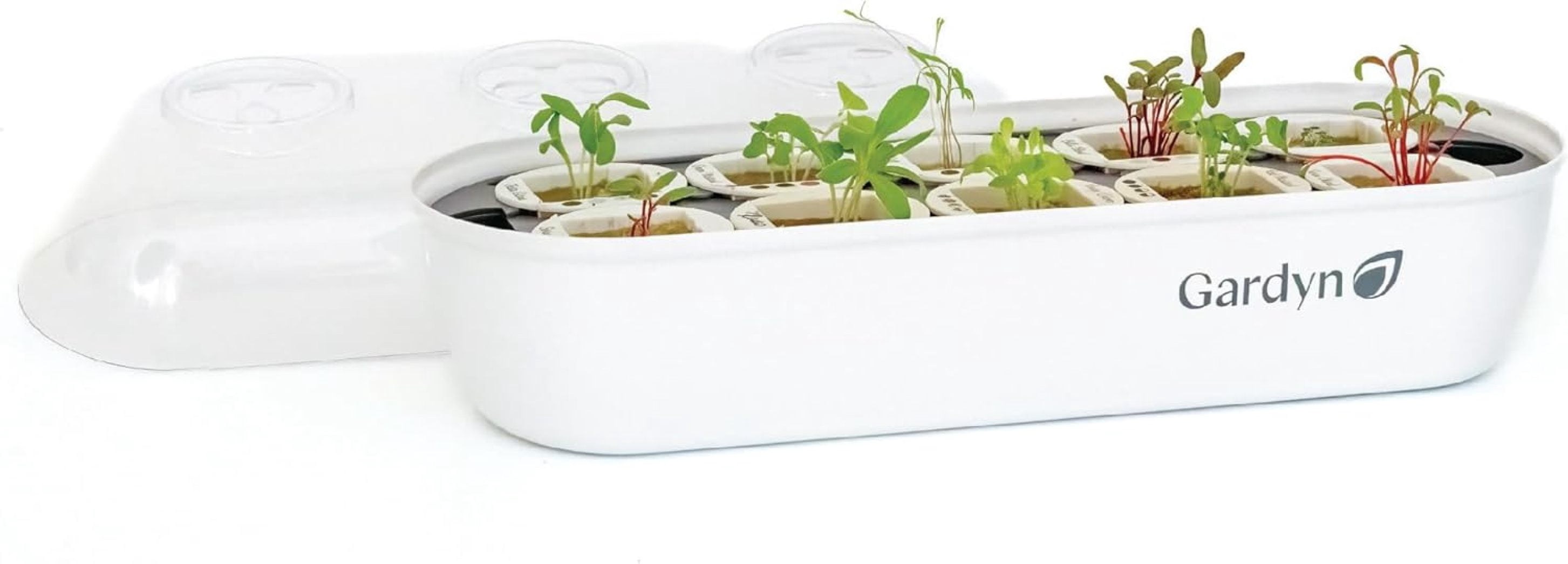 QATZ Indoor Garden Nursery - Indoor Germination, Hydroponic Growing ...