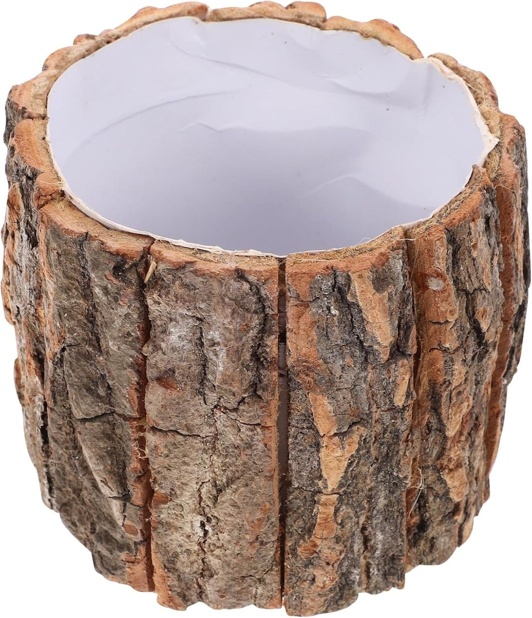 QATZ Rustic Succulent Planters Cactus Plant Pots Wood Tree Driftwood ...