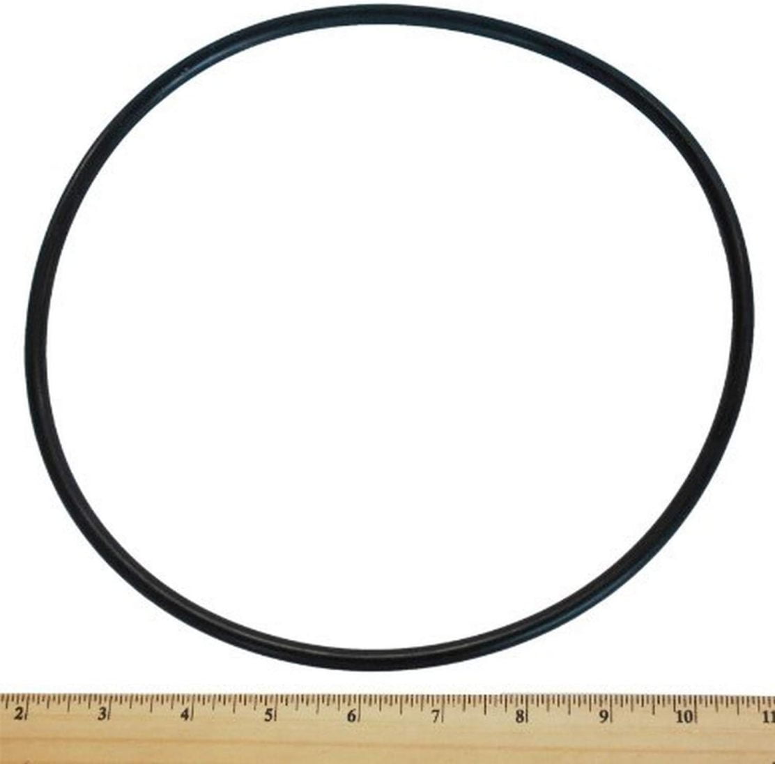 QATZ U9-373 Cord-Ring for Seal Plate Replacement for Select Sta-Rite ...