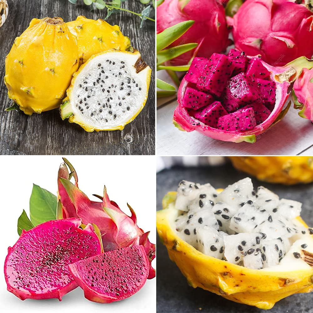 QAUZUY GARDEN 200 Mixed Dragon Fruit ZLK1 Seeds Pitahaya Pitaya Strawberry Pear Seeds, Non-GMO ...