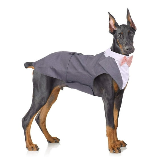 QBLEEV Dog Formal Tuxedo Suit for Medium Large Dogs，For Costume Wedding ...
