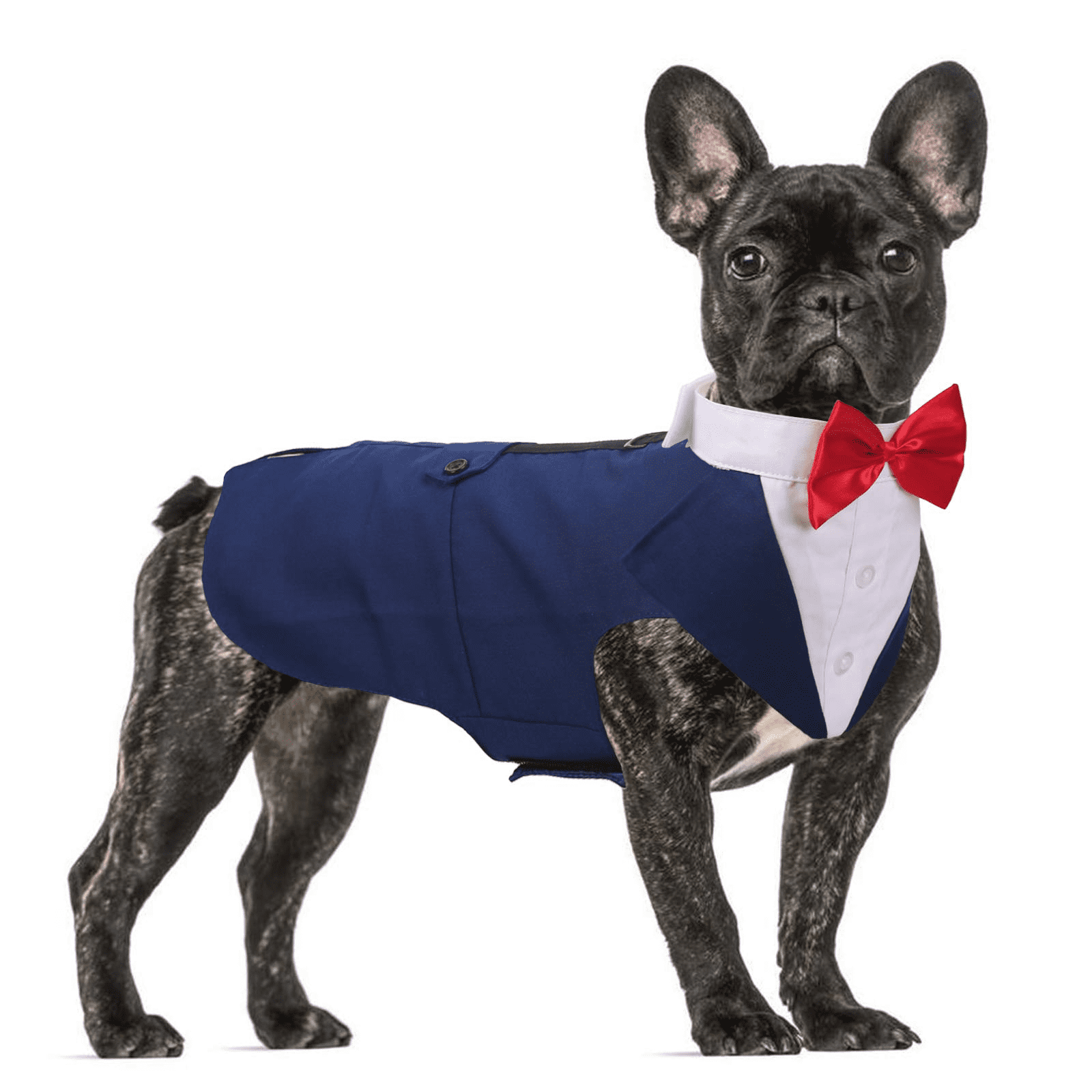 QBLEEV Dog Formal Tuxedo Suit for Medium Large Dogs，For Costume Wedding ...