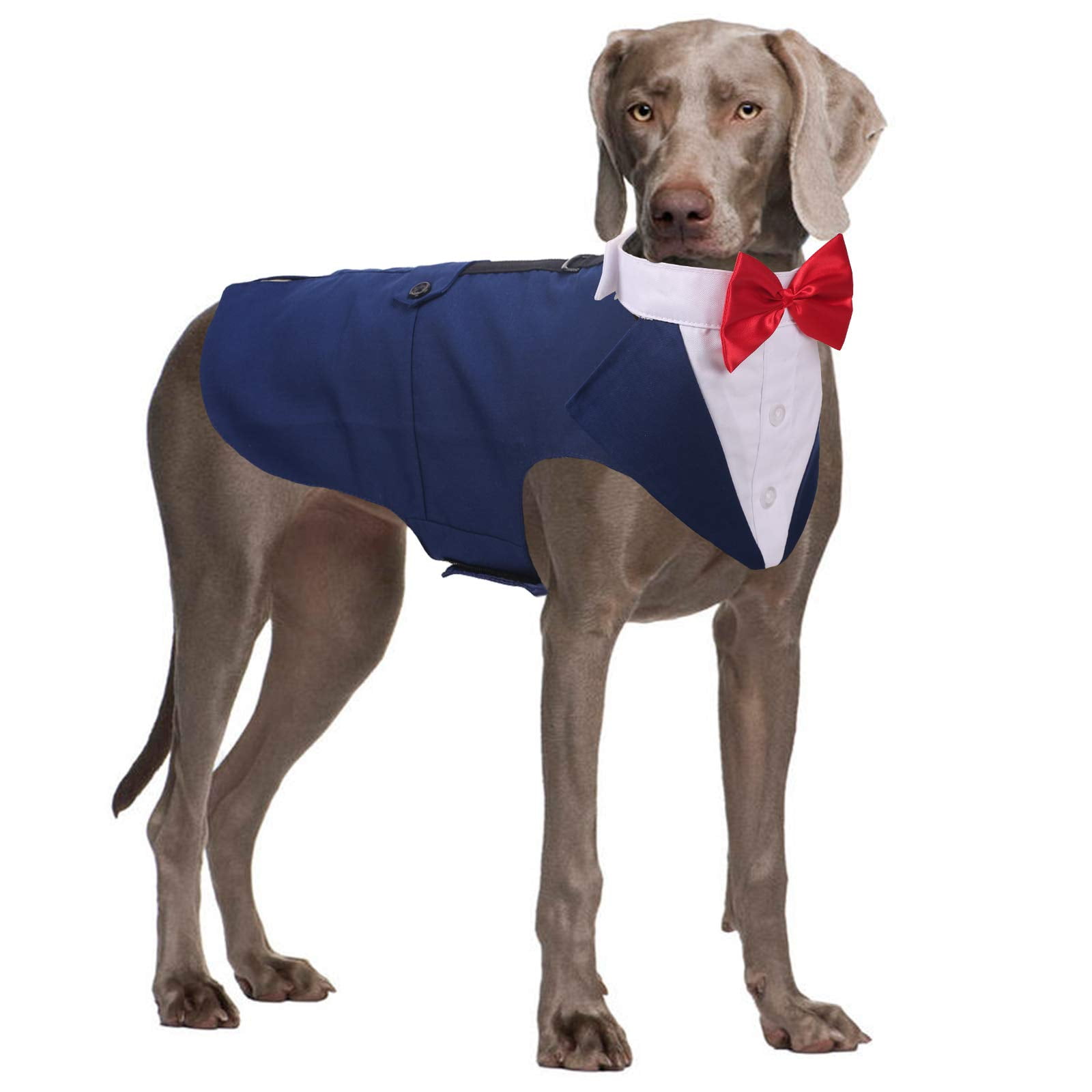 QBLEEV Dog Formal Tuxedo Suit for Medium Large Dogs，For Costume Wedding ...