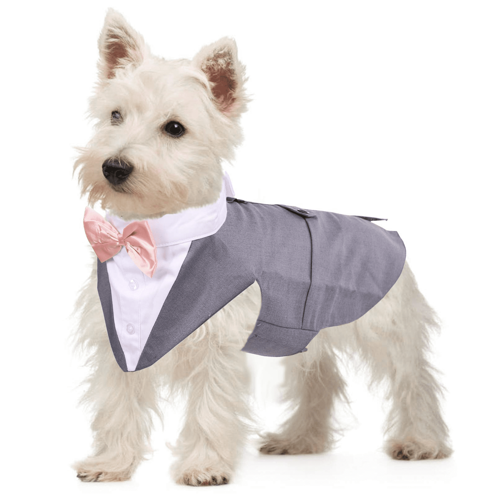 QBLEEV Dog Formal Tuxedo Suit for Medium Large Dogs，For Costume Wedding ...