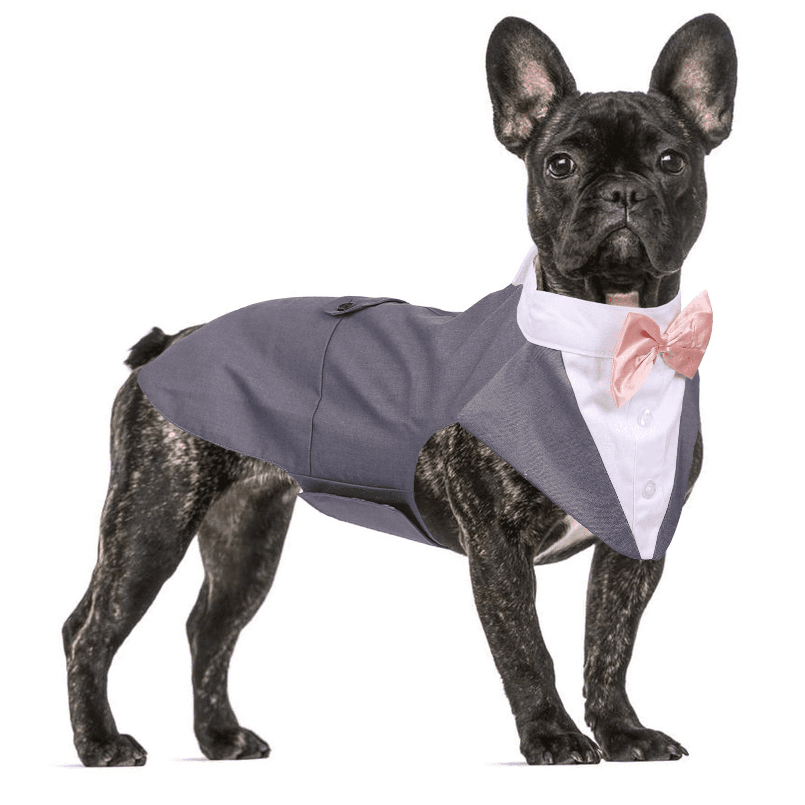 QBLEEV Dog Formal Tuxedo Suit for Medium Large Dogs，For Costume Wedding ...