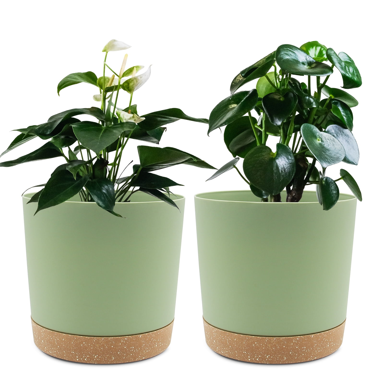 QCQHDU 2 Pack 6.5 Inch Medium Size Green Plastic Indoor Flower Pot with ...