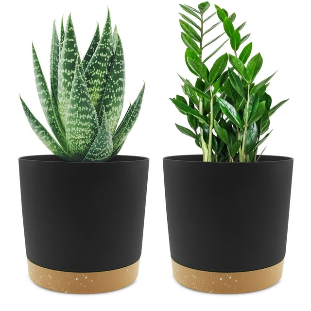 QCQHDU 2-Pack 6.5 Inch Black Plastic Indoor Planters with Drainage ...