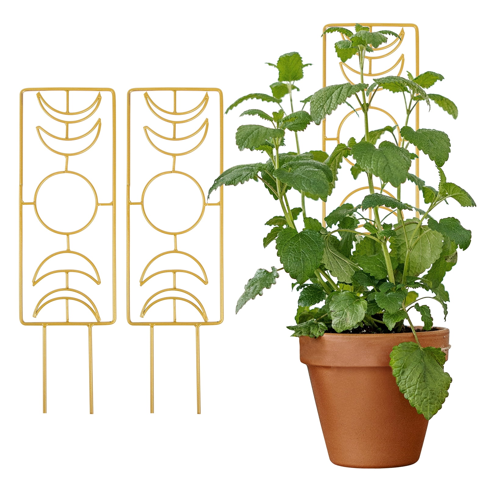 QCQHDU 2 Pack Indoor Plant Trellis for Climbing Plants 14.3 inch Small ...