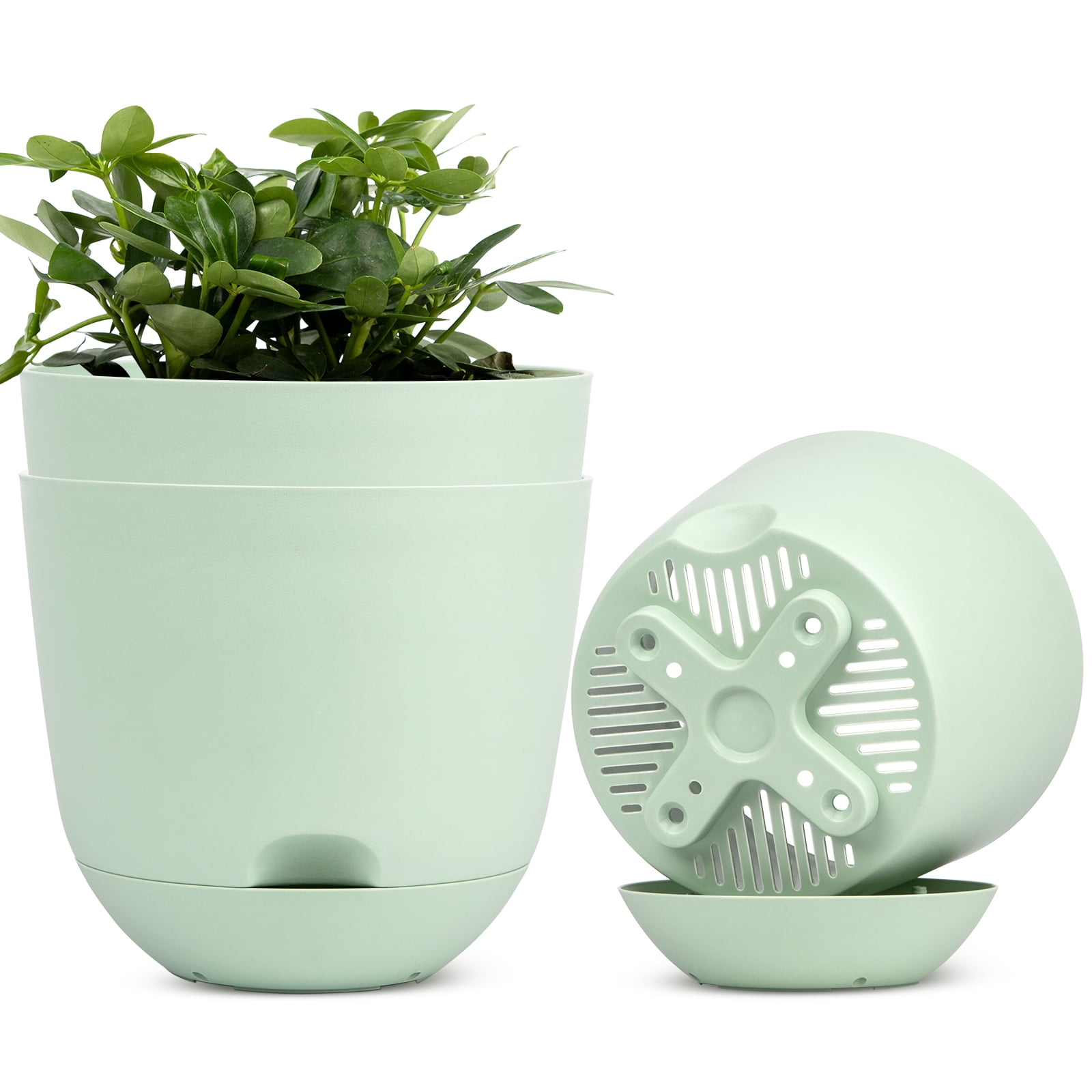 QCQHDU 3 Pack 6 in Self Watering Plastic Planters with Deep Saucer ...