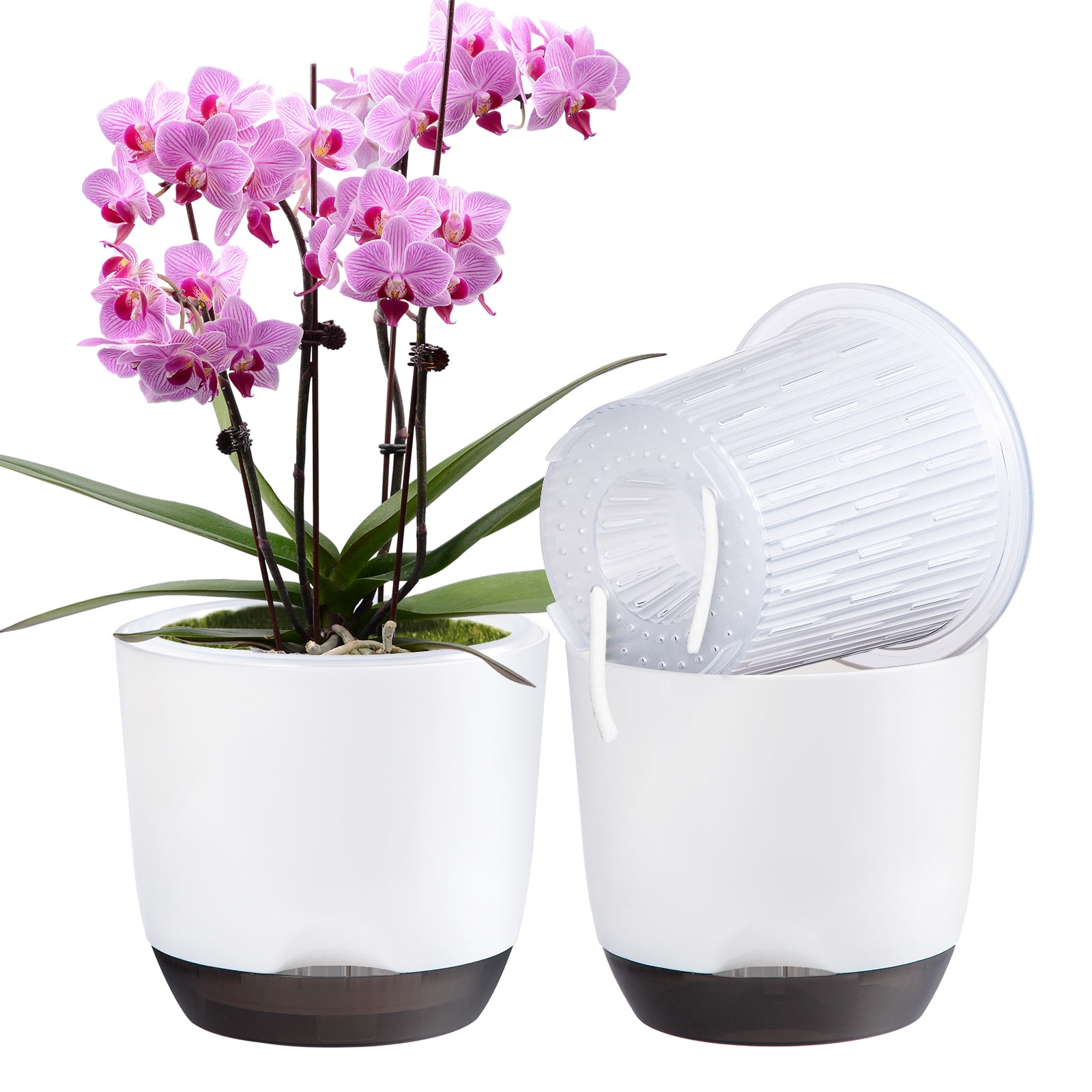 QCQHDU 7 Inch Orchid Pots with Holes, 2 Pack Self Watering Orchid pot ...