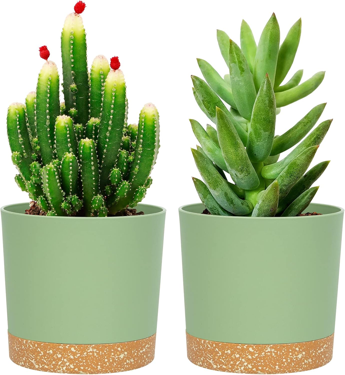 QCQHDU 8 inch Plant Pot, 2 Pack Planters for Indoor Plants with ...