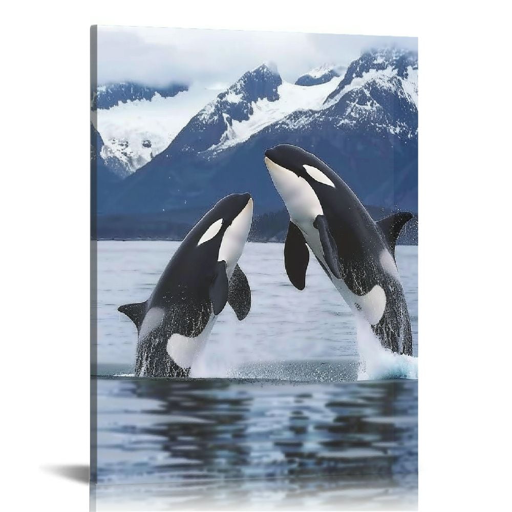 QFMY Killer Whale Orca Poster Prints - Vibrant Stunning Animal Blue ...