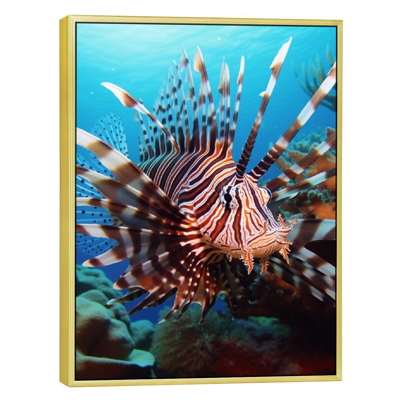 QFMY Lionfish Coral Reef Ocean Canvas Prints Wall Art with Golden ...