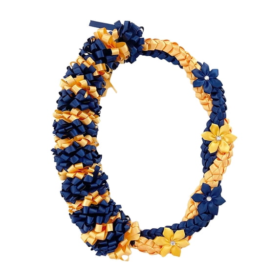QHFBli Graduation Ribbon Lei Class of 2025 Braided Leis Graduation ...