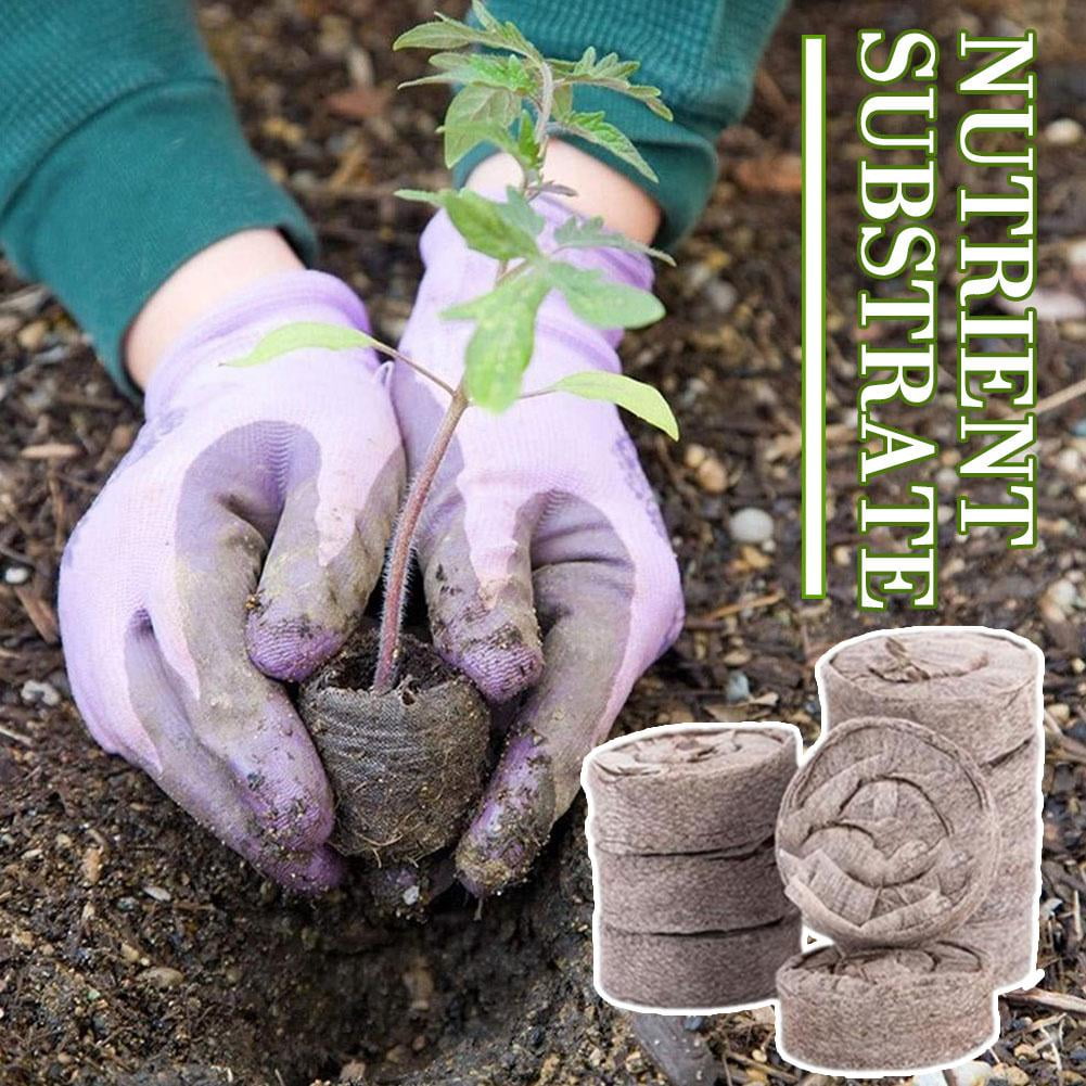 QHUDLV 50200X Peat Pellets Seedling Soil Block Starting Plugs Pallet ...