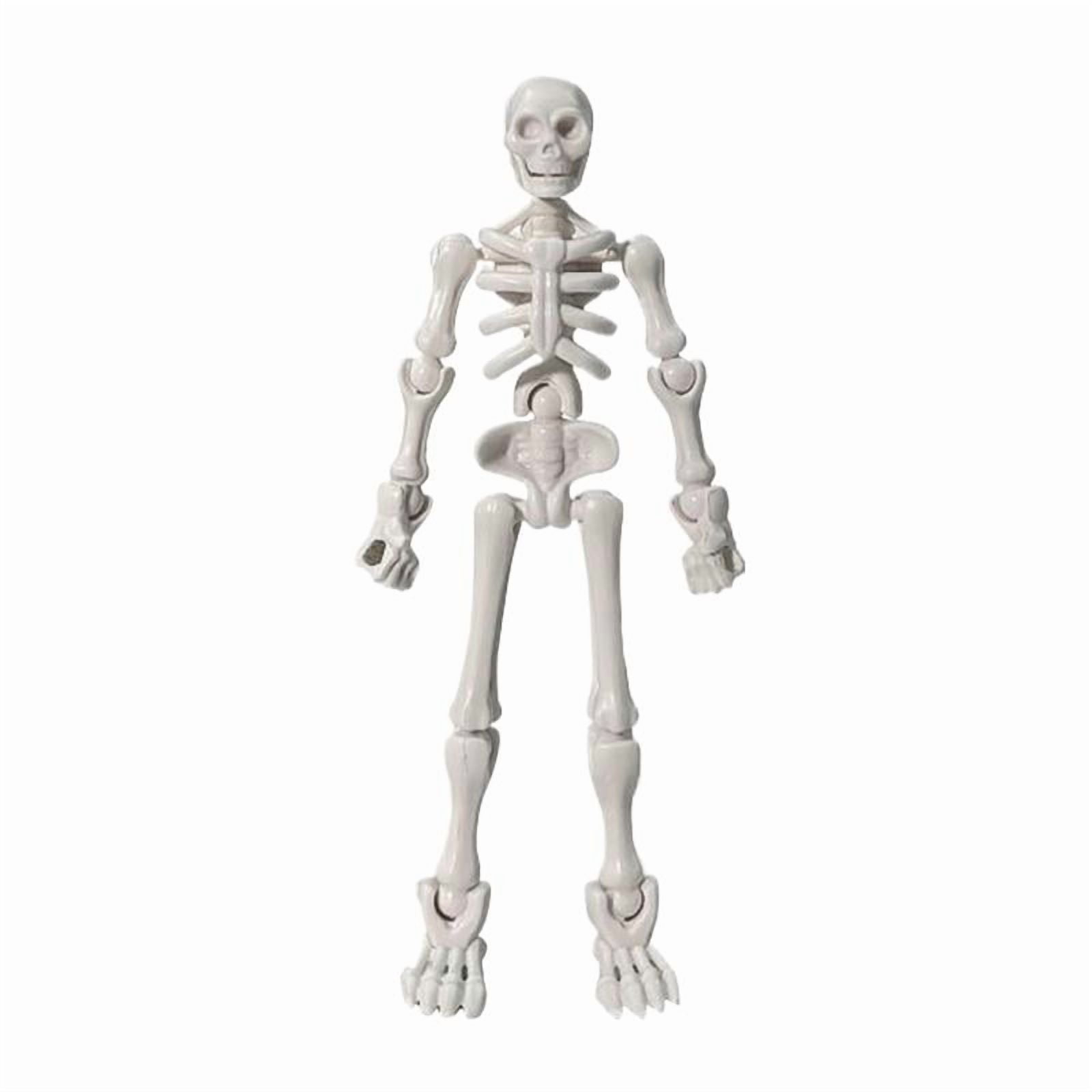 QHUDLV Human Skeleton Model DIY, Educational Mannequin for Anatomy ...