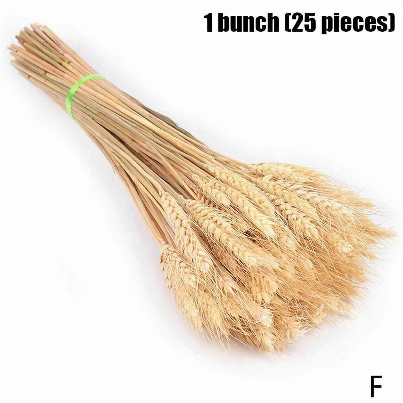 QHUDLV Natural Dried Wheat Sheaves,Dried Wheat Stalks Bundle Grass ...