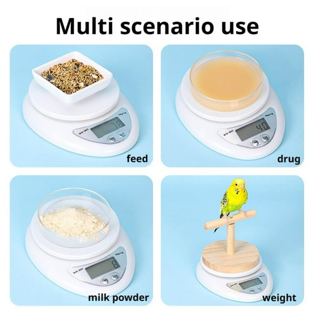 QHUDLV Perch-Mounted Pet Bird Scale, Parrot Weight Scale with Perch ...