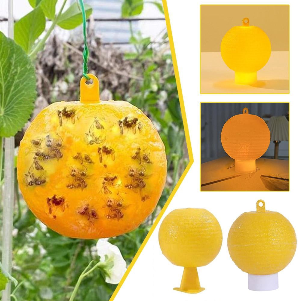 QHUDLV Rtyweth 1pcs Fruit Fly Traps With Spherical Strong Adhesive ...