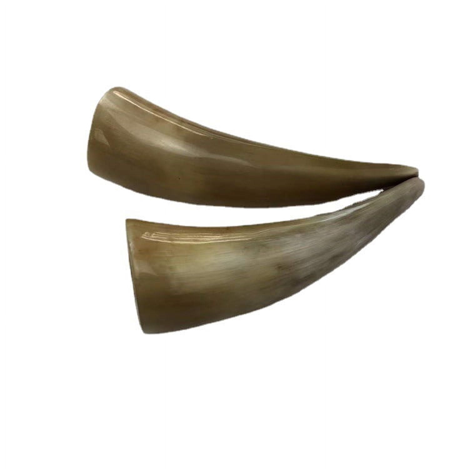 QIDITONG 2pcs Medieval Drinking Horns Viking Drinking Cups Horn Wine ...