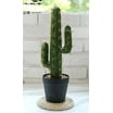 29.5” Tall Fake Cactus Plant Potted Large Cactus 'Old Man Cactus' Big ...