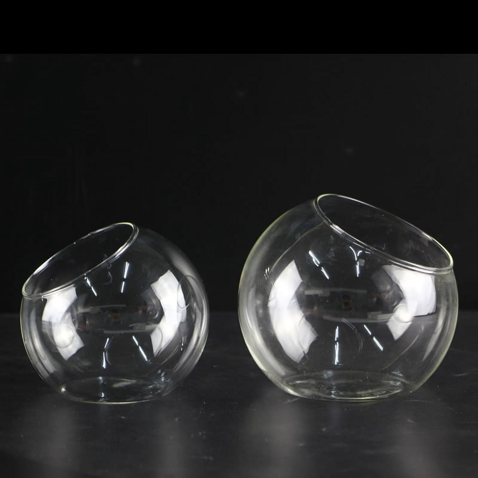 QIDITONG Glass Flower Planter Slant Mouth Diy Terrarium Globe ...