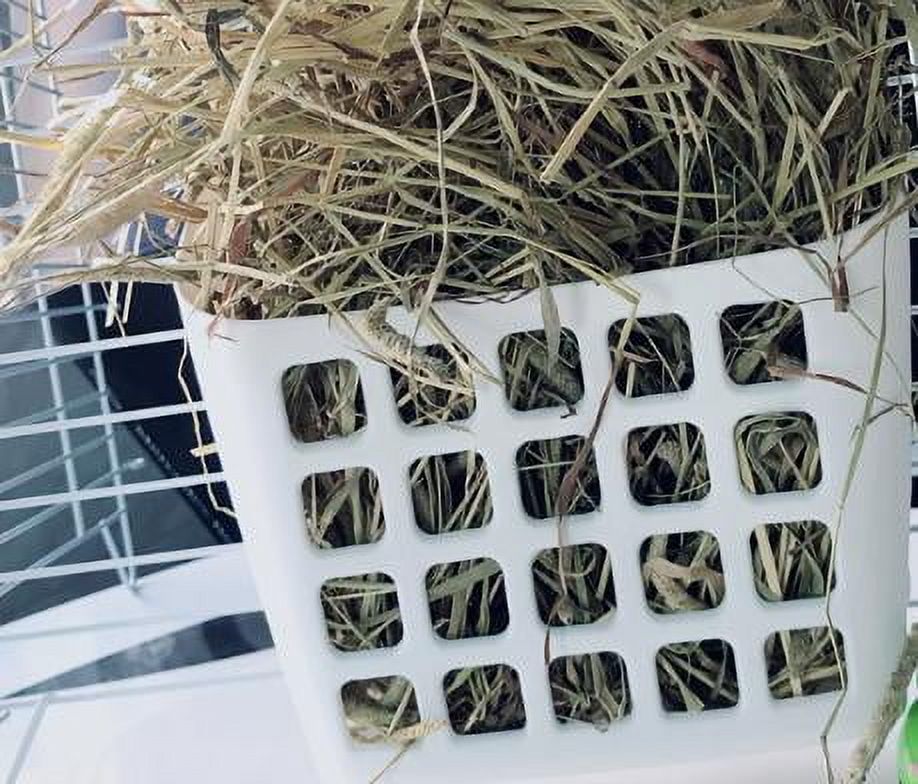 QIDITONG Grass Feeder For Rabbits Guinea Pig Grass Rack Bunny Food Bowl ...