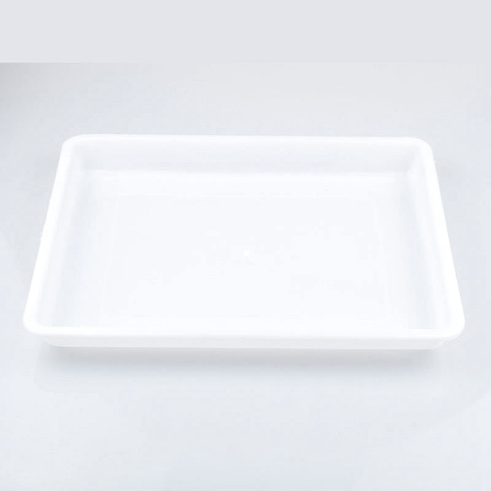 QIDITONG Plastic Tray For Serving Art Crafts Tray Painting Tray ...