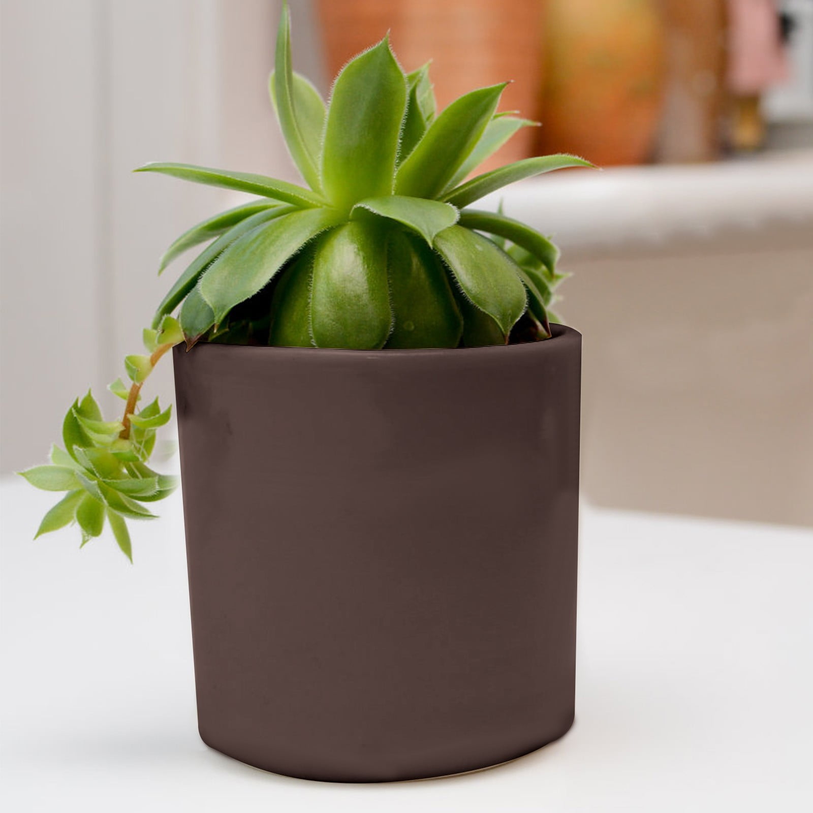 QIEZHON Ceramic Plant Pots With Hole Cylindrical Plant Pot Flower ...