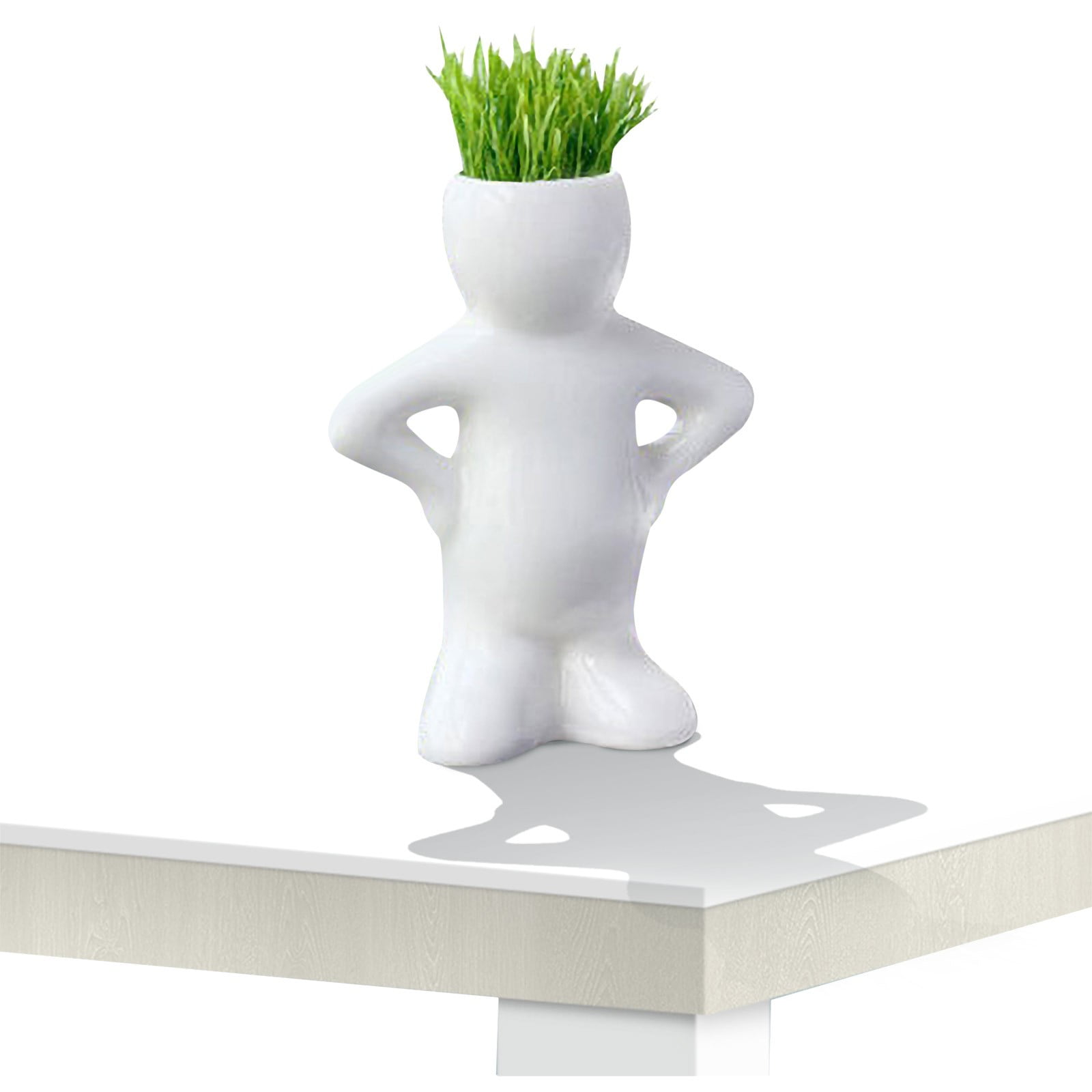 QIEZHON Mini Bonsai Head Grass Hair White Ceramic Plant Garden,Tree ...