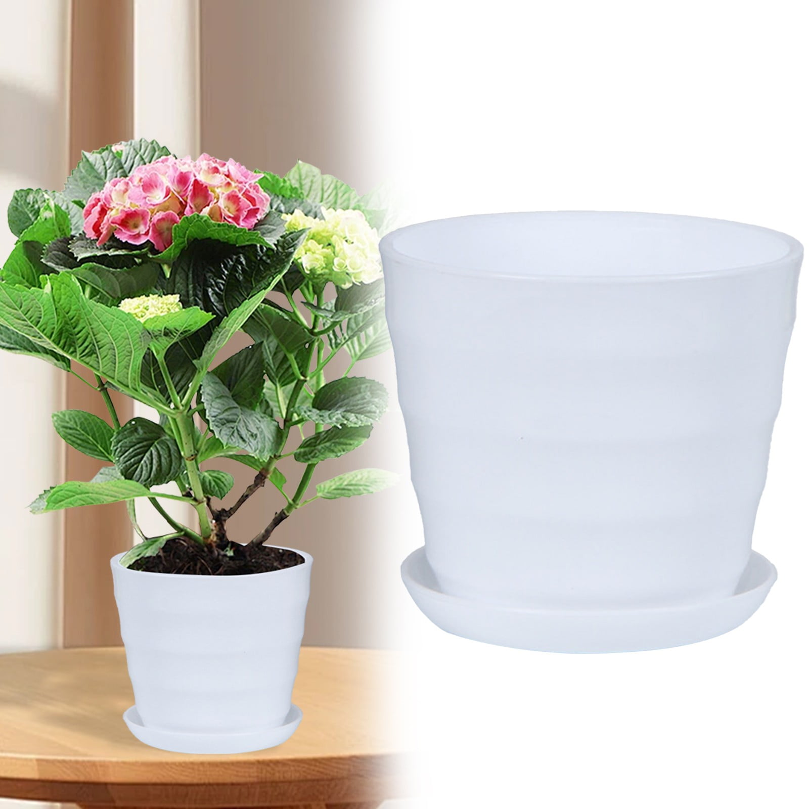 QIEZHON Succulent Planter Pot Green Succulents Succulent Plants Pots ...