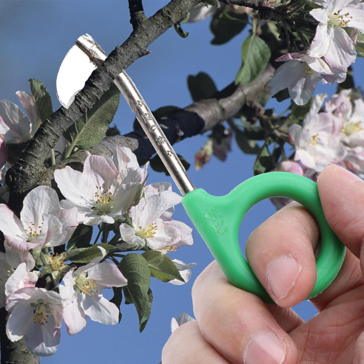 QIFULL 2Pcs Jujube Peach Tree Ring Trimming Shears Green Convenient and ...