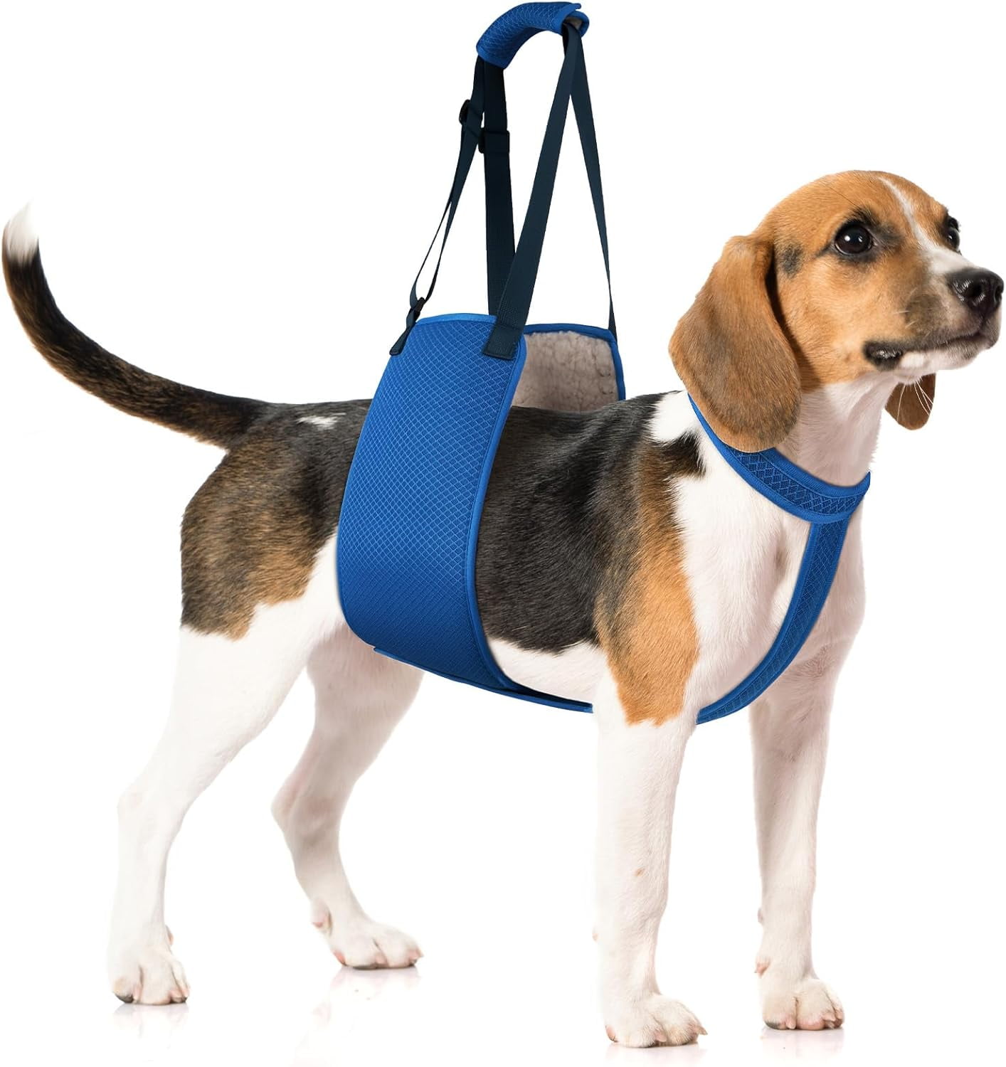 QIHE-Adjustable Dog Lift Harness with Fixing Strap, Lift Sling for ...