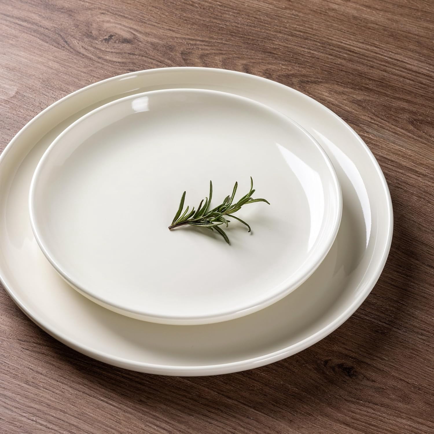 QIHE-Dinner Plates Set of 6,10.5 inch Large Ceramic plates for Kitchen ...