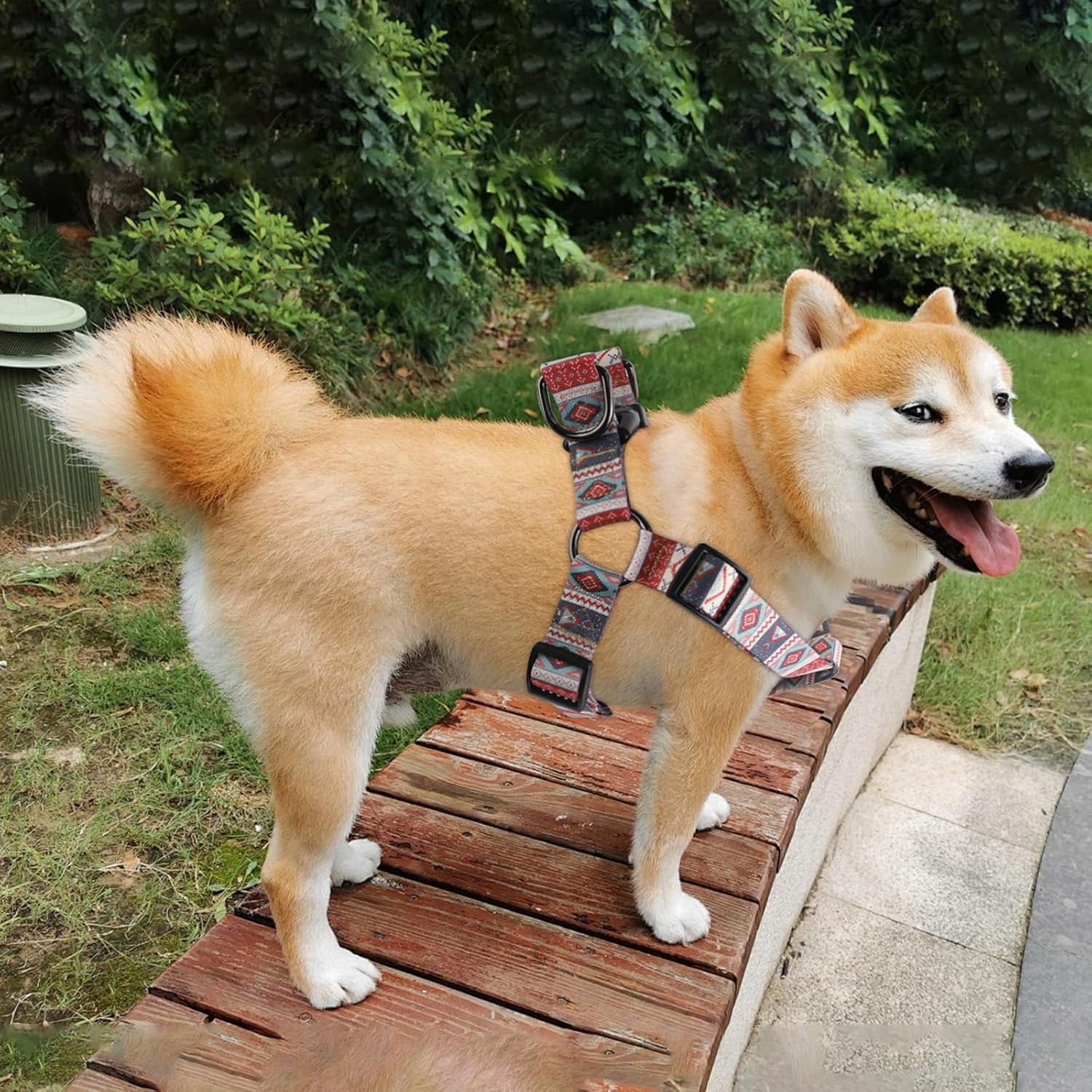 QIHE-Dog Harness Leash Set Adjustable Heavy Duty No Pull Halter ...