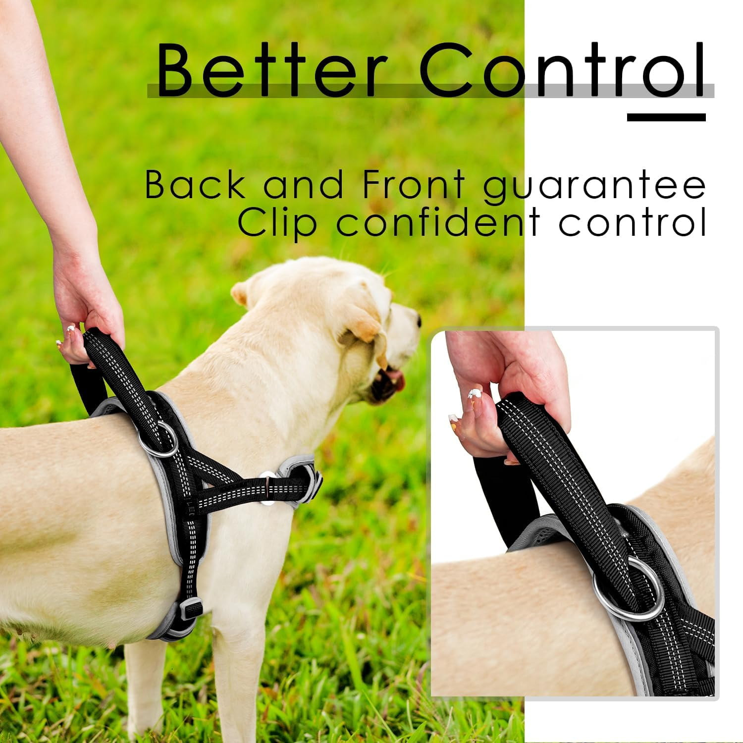 QIHE-Dog Harness Small Sized Dog No Pull with QR Code Dog Tag ...