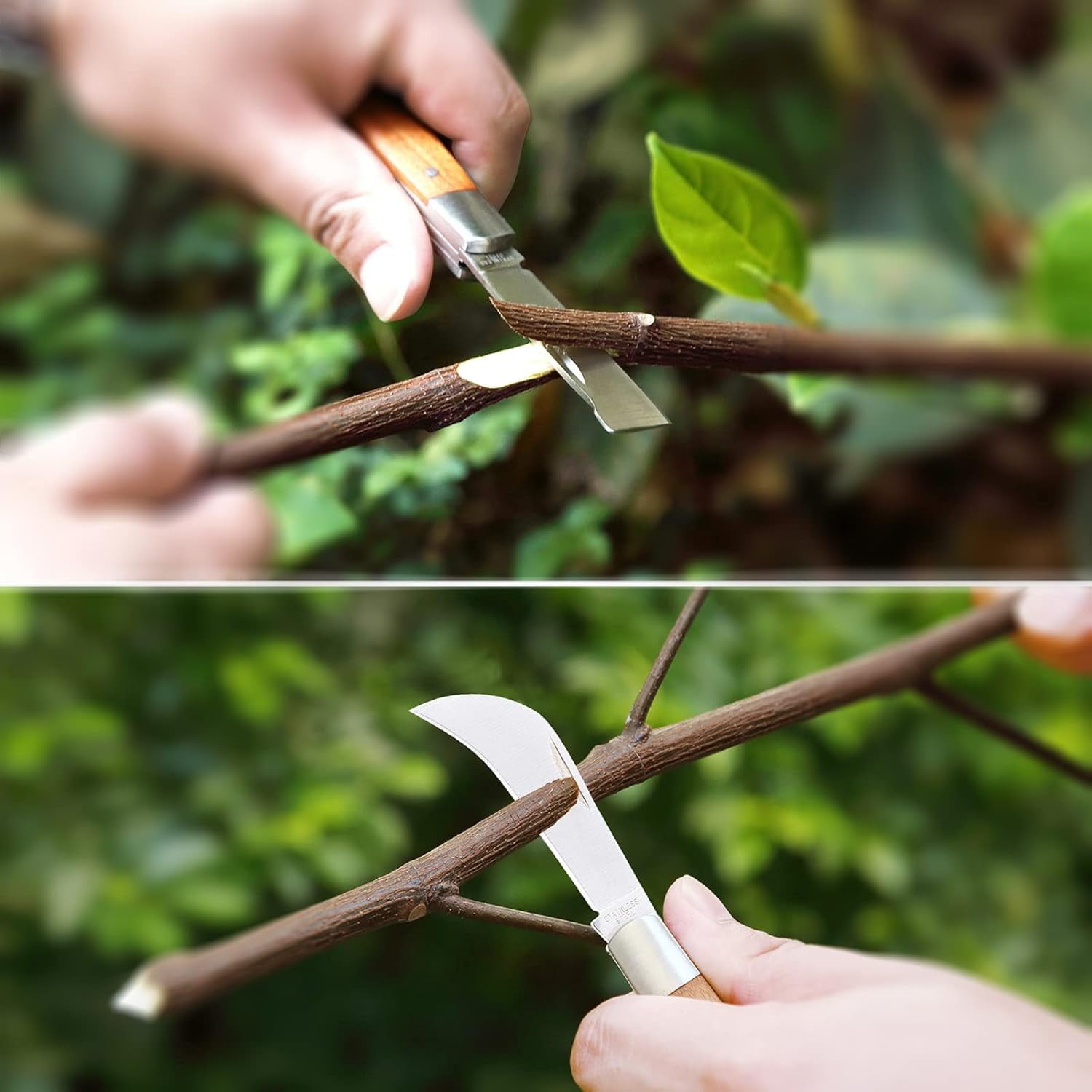 QIHE-Garden Grafting Knife with Grafting Tapes and Plant Labels ...