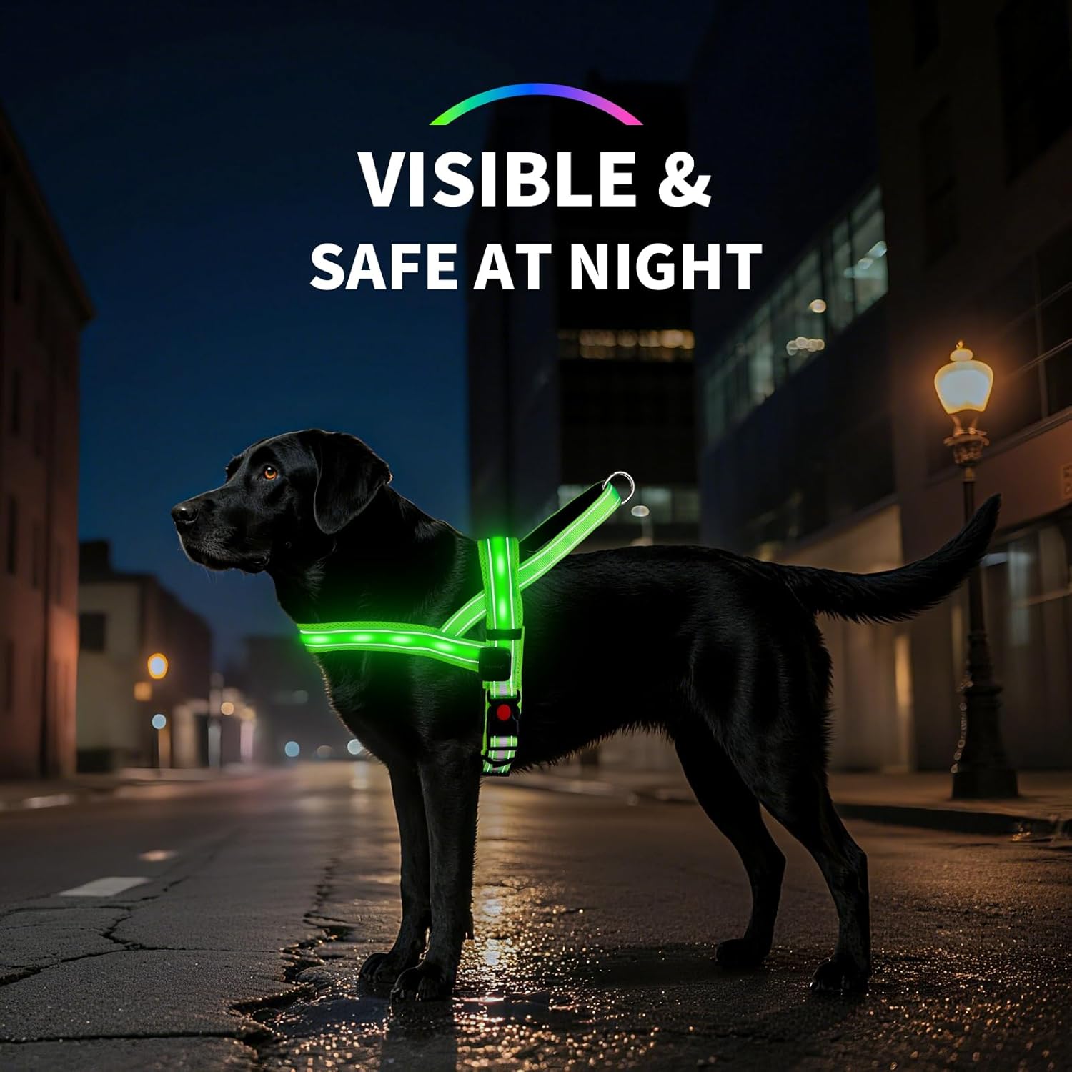 QIHE-LED Light Up Dog Harness - USB-C Rechargeable, IPX7 Waterproof ...