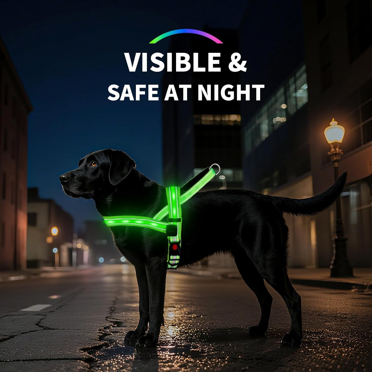 QIHE-LED Light Up Dog Harness - USB-C Rechargeable, IPX7 Waterproof ...