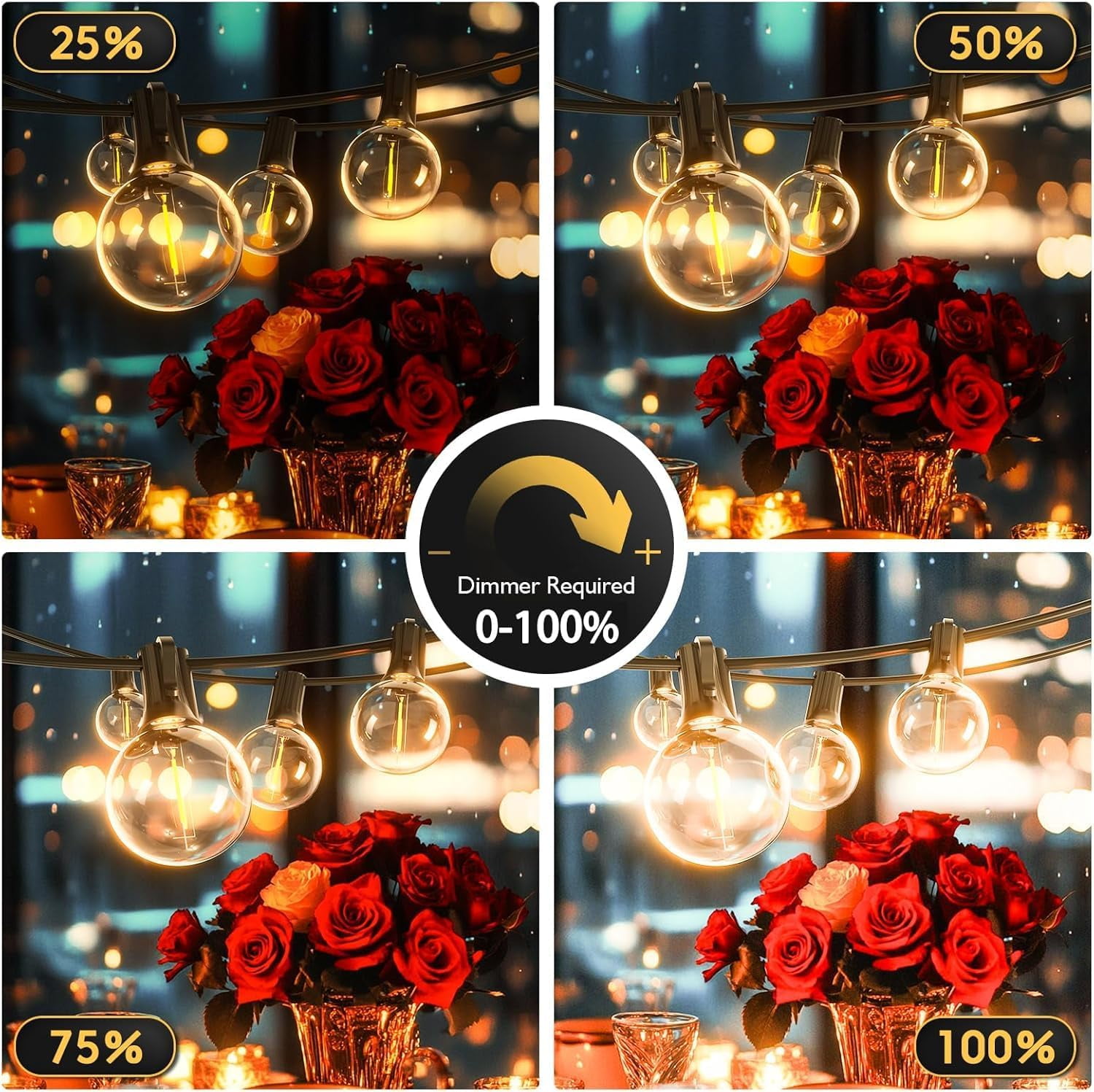 QIHE-Outdoor String Lights 20ft LED Hanging Globe Patio Lights with G40 ...