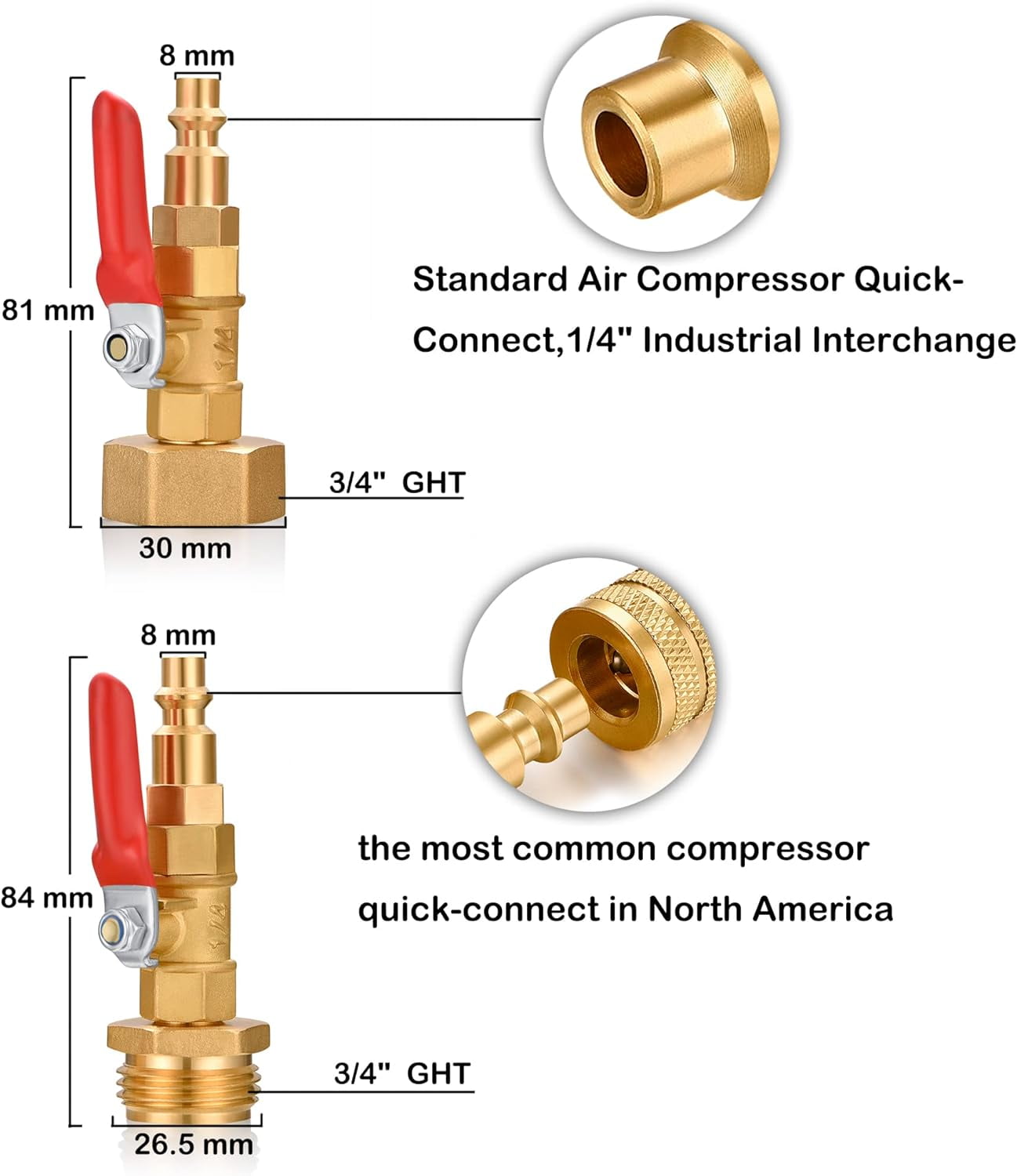 QIHE-RV Winterize Blowout Adapter with 1/4" Quick Connect Plug and 3/4" Garden Water Hose ...