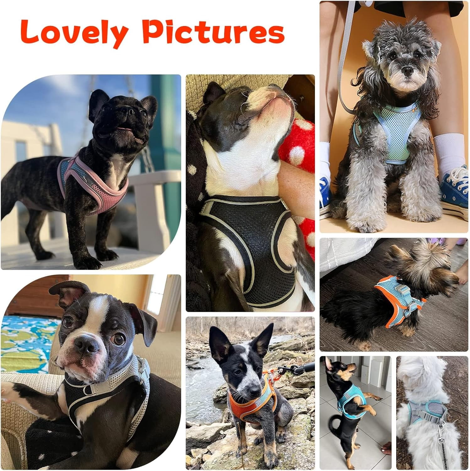 QIHE-Soft Small Dog Harness and Leash Set Mesh Puppy Harnesses Leash ...