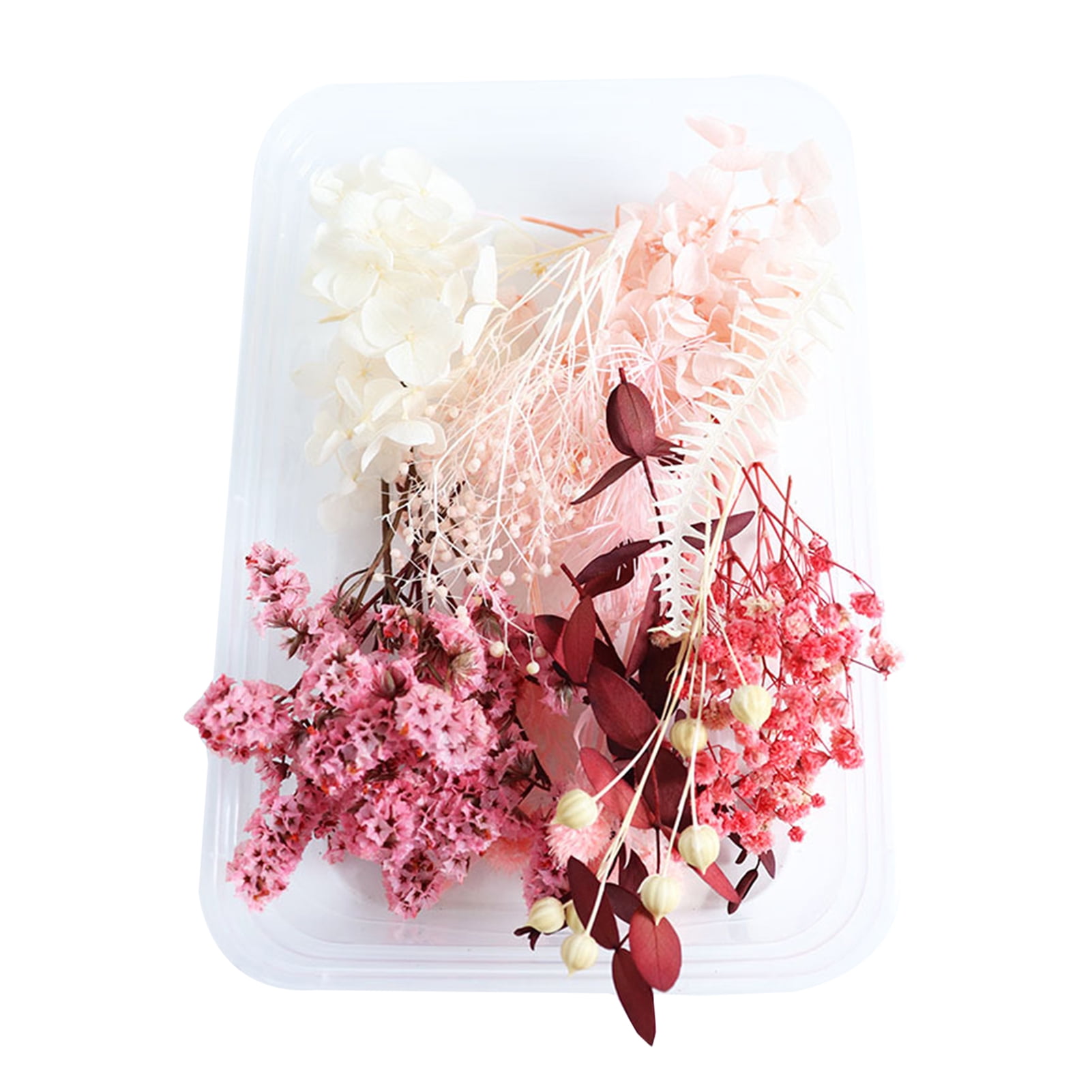QILIN 1 Box Preserved Flower Beautiful Bright-colored Dried Flower ...