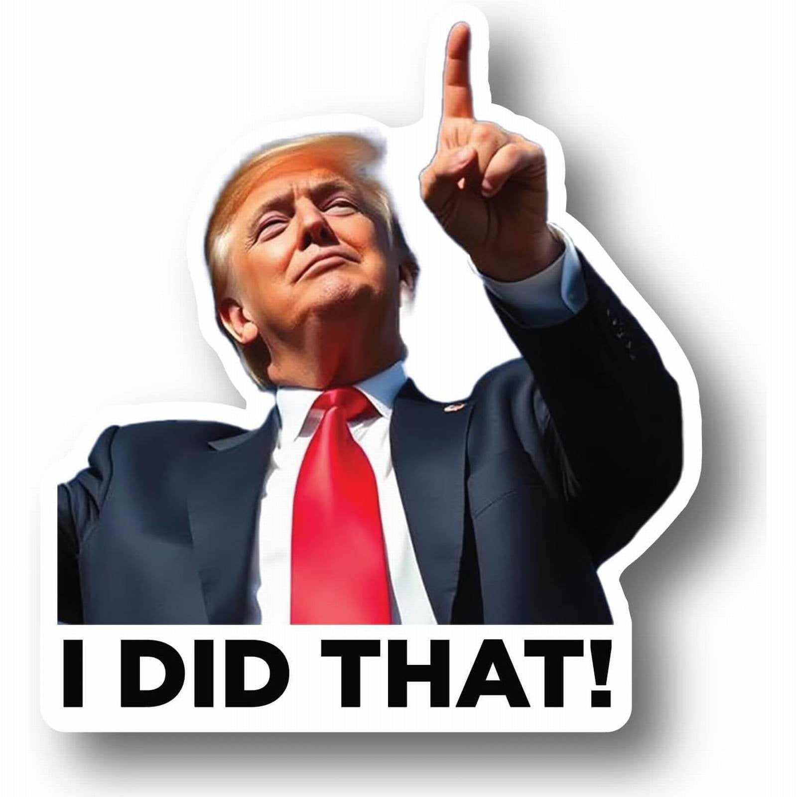 QIOIUPZ 10/50/100 Sheets "I Did It" Stickers Pump Sticker Decals Funny ...