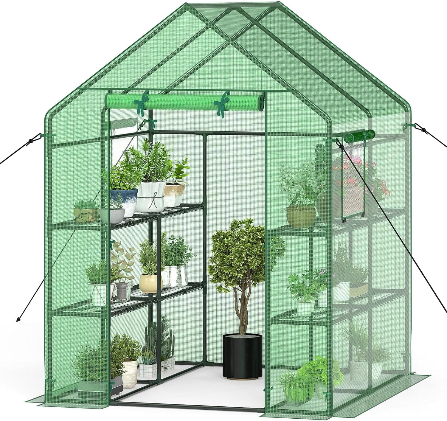 QISHENSHUI Walk-in Greenhouse, Portable Greenhouses for Outdoors w/8 ...
